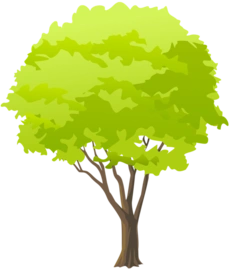 free download Tree Transparent PNG Images,Tree backgrounds PNG Format files