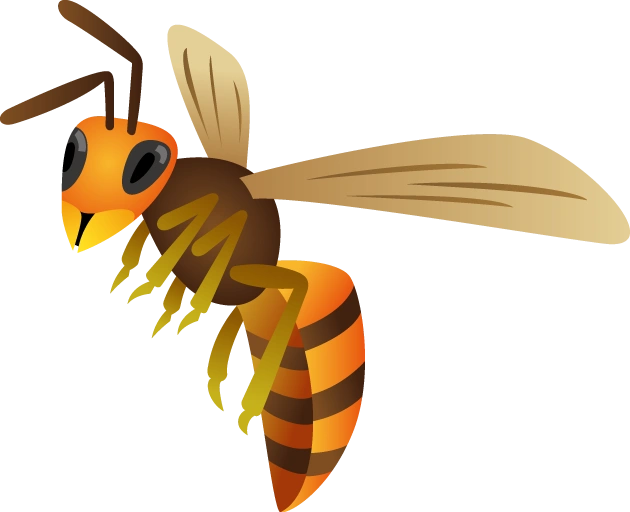 Wasp PNG Picture Image with Transparent Background,Wasp PNG files