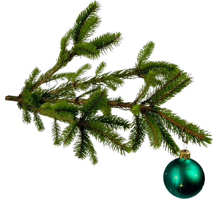 Christmas PNG HD Quality,Christmas PNG free download