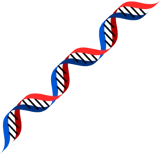 free download DNA Transparent PNG Images,DNA backgrounds PNG Format files