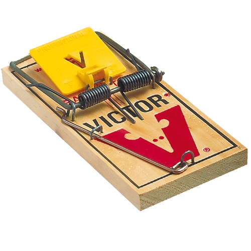 Mouse trap PNG Picture Image with Transparent Background,Mouse trap PNG ...