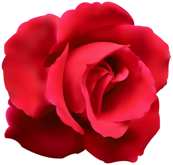 Rose png image free download,Rose png transparent picture