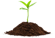 free download Soil Transparent PNG Images,Soil backgrounds PNG Format files