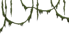 free download Jungle Transparent PNG Images,Jungle backgrounds PNG ...