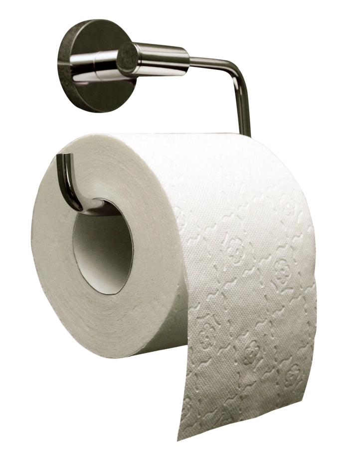 Toilet Paper PNG Image with transparent background,Toilet Paper PNG ...