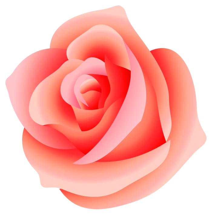 Rose Transparent Background PNG Picture,Rose PNG hd pic