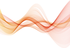 descarga gratuita Vector Imágenes PNG transparentes, Vector archivos de ...