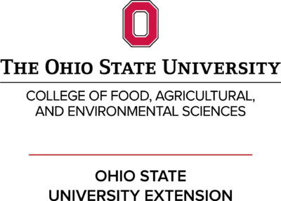Free download is a financial literacy program for youth from ohio,ohio ...