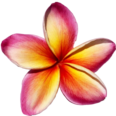 Maui PNG Transparent HD Photo,maui Background Transparent PNG Image