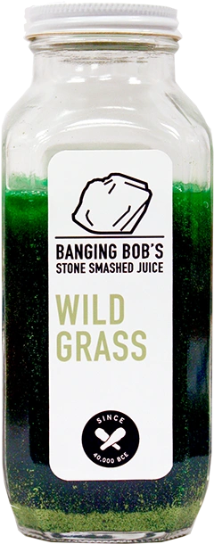Banging Bob's Stone Smashed Juice - Pt Magazine