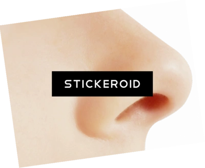 HD transparent background Human nose png free download,girl png ...