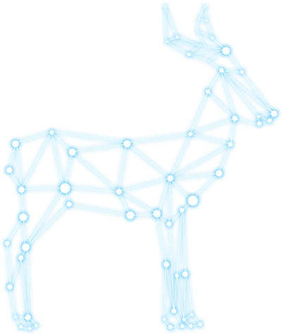 Reindeer